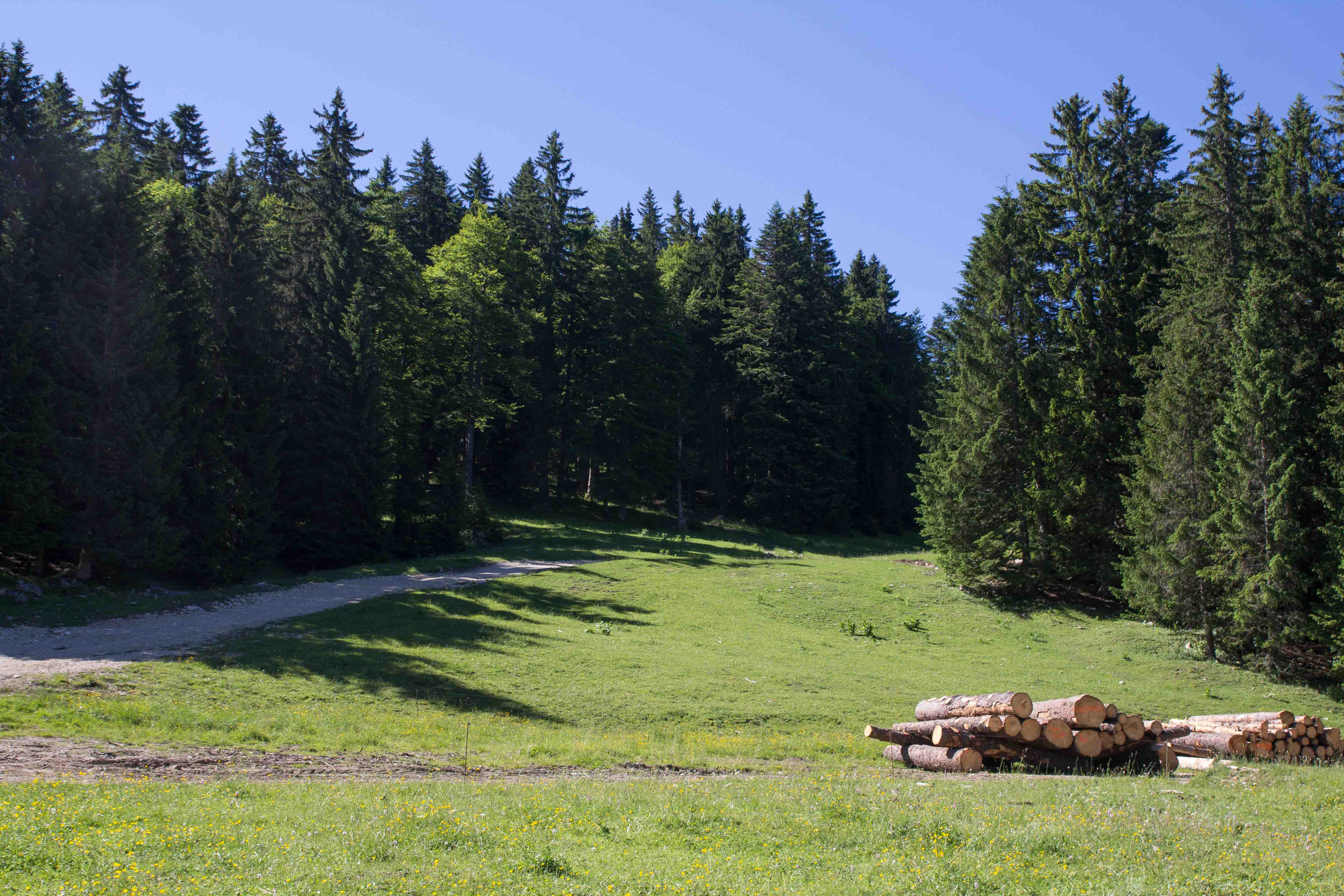 La Dôle – Switzerland – iTom