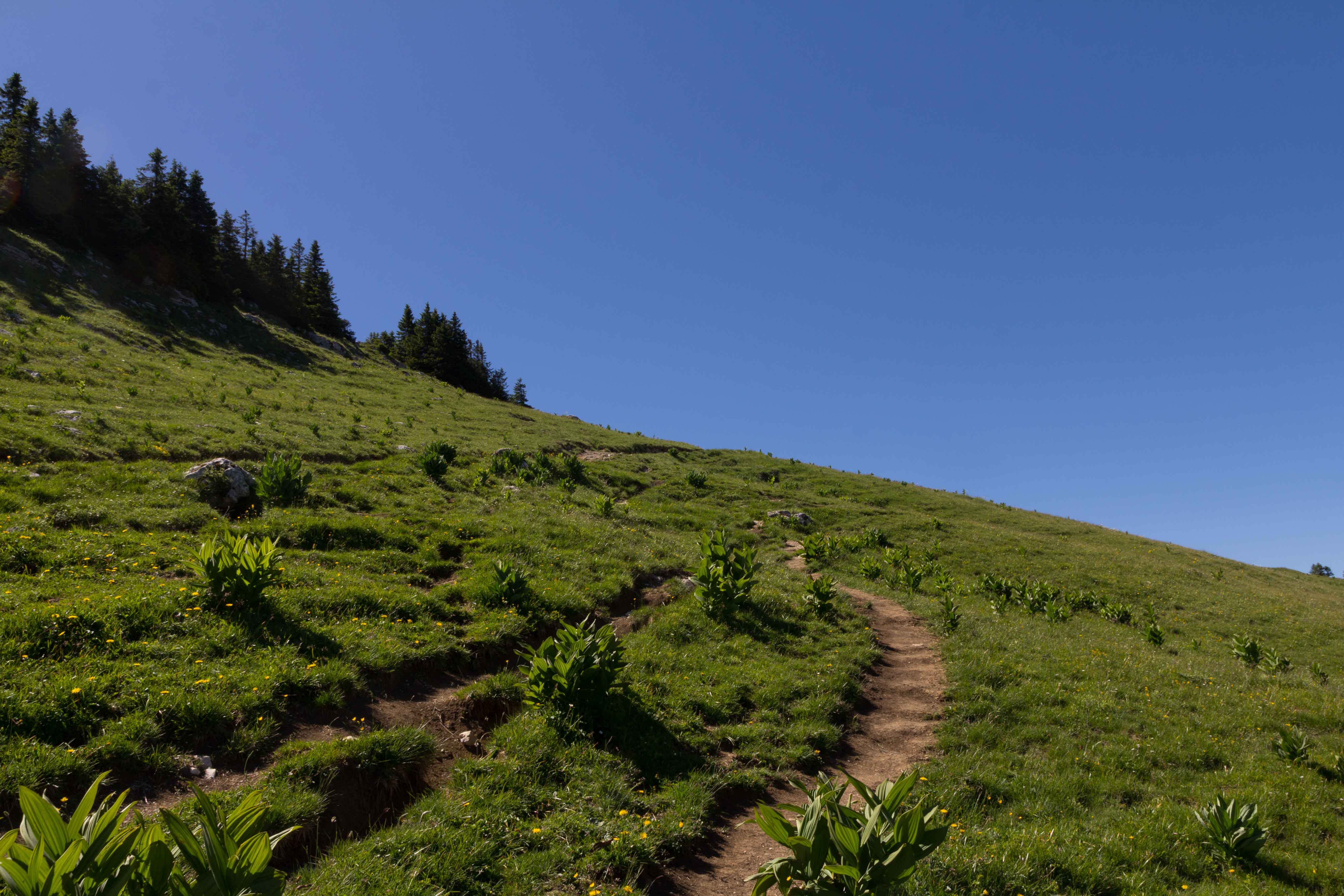 La Dôle – Switzerland – iTom